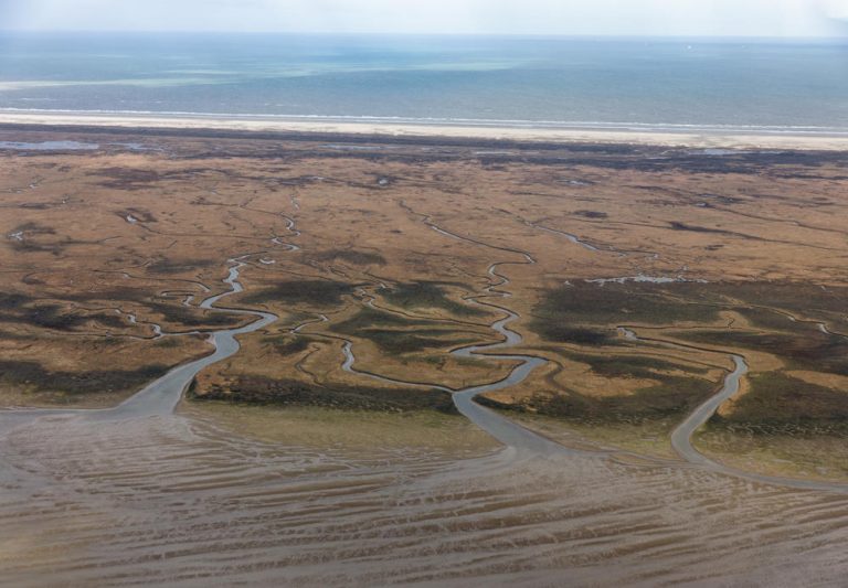 Bezoek Nationaal Park Schiermonnikoog | Wadly