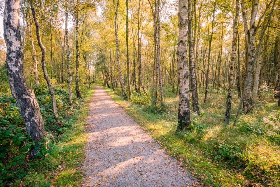Het dorp van Schiermonnikoog, wat te zien en doen | Wadly
