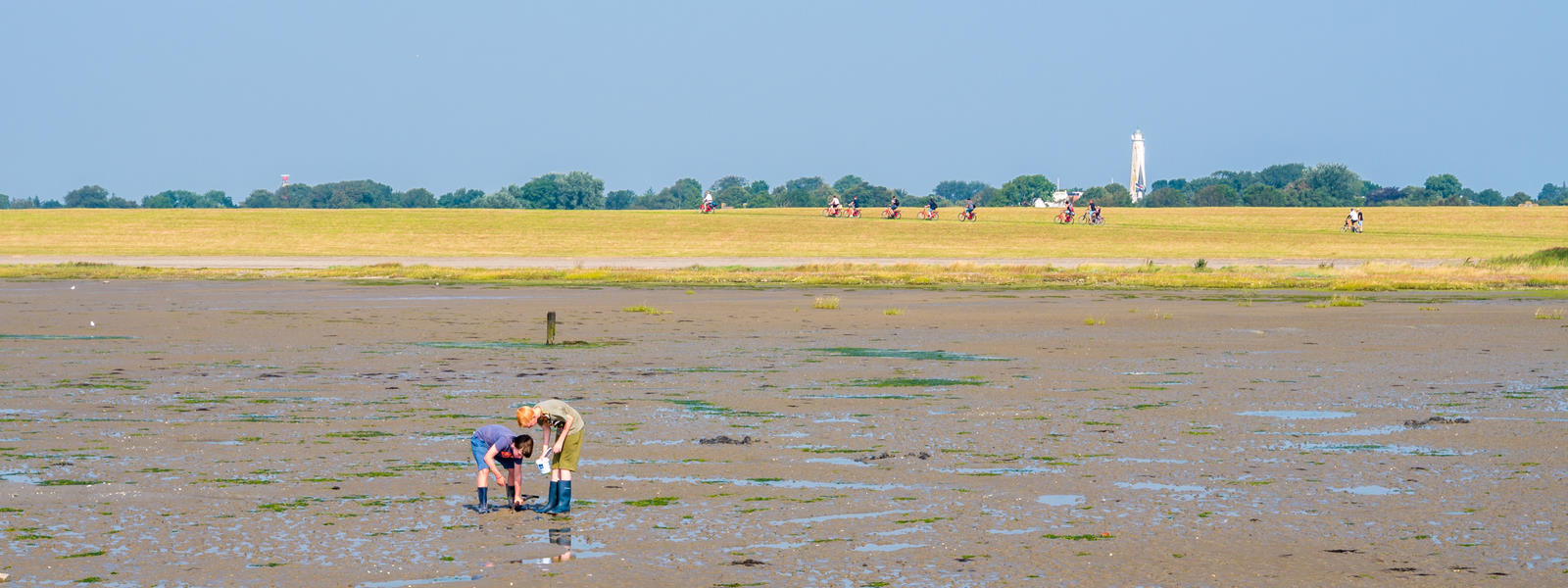 Tips voor het wadlopen | Wadly